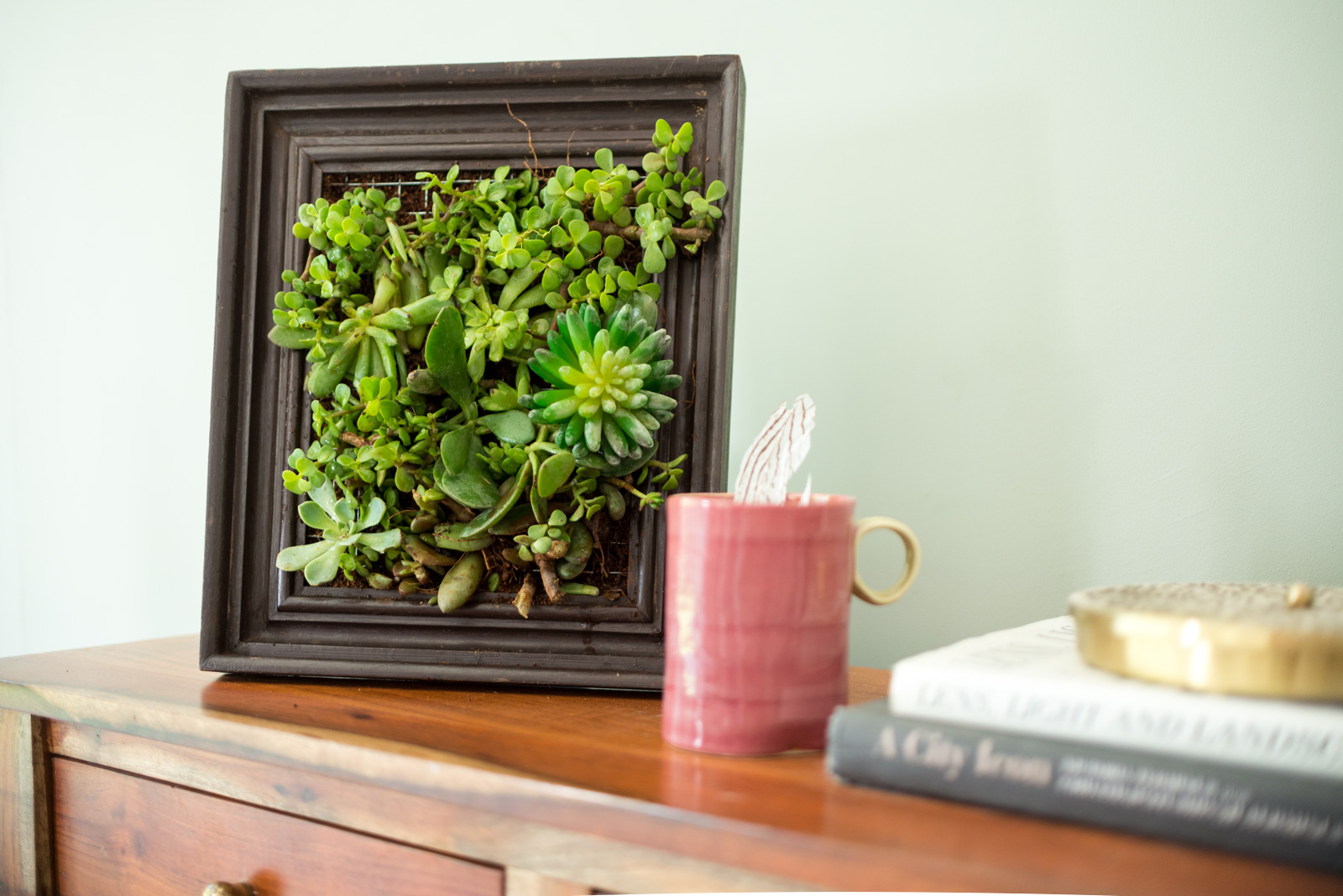 How to create a DIY living garden from a photo frame | Beautiful Homes