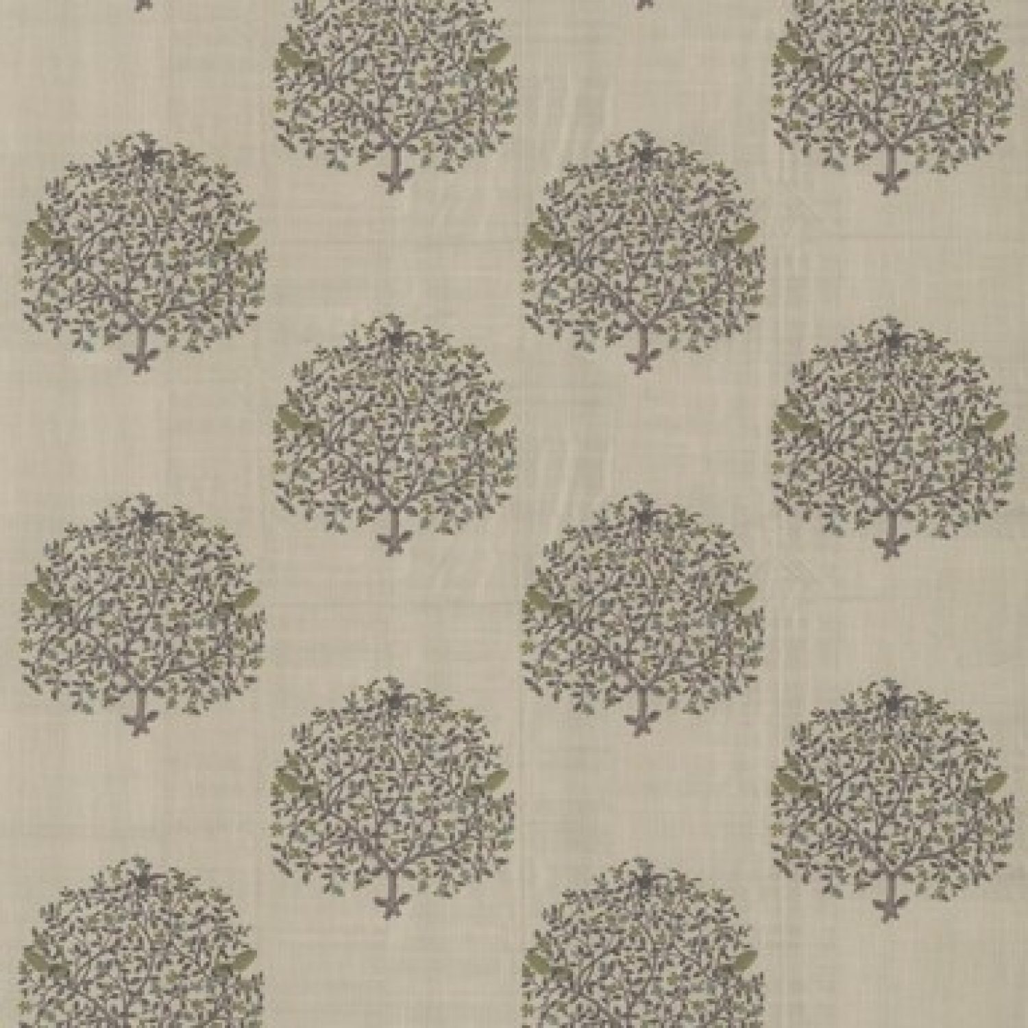 Arjuna Druma Marala | Beautiful Homes