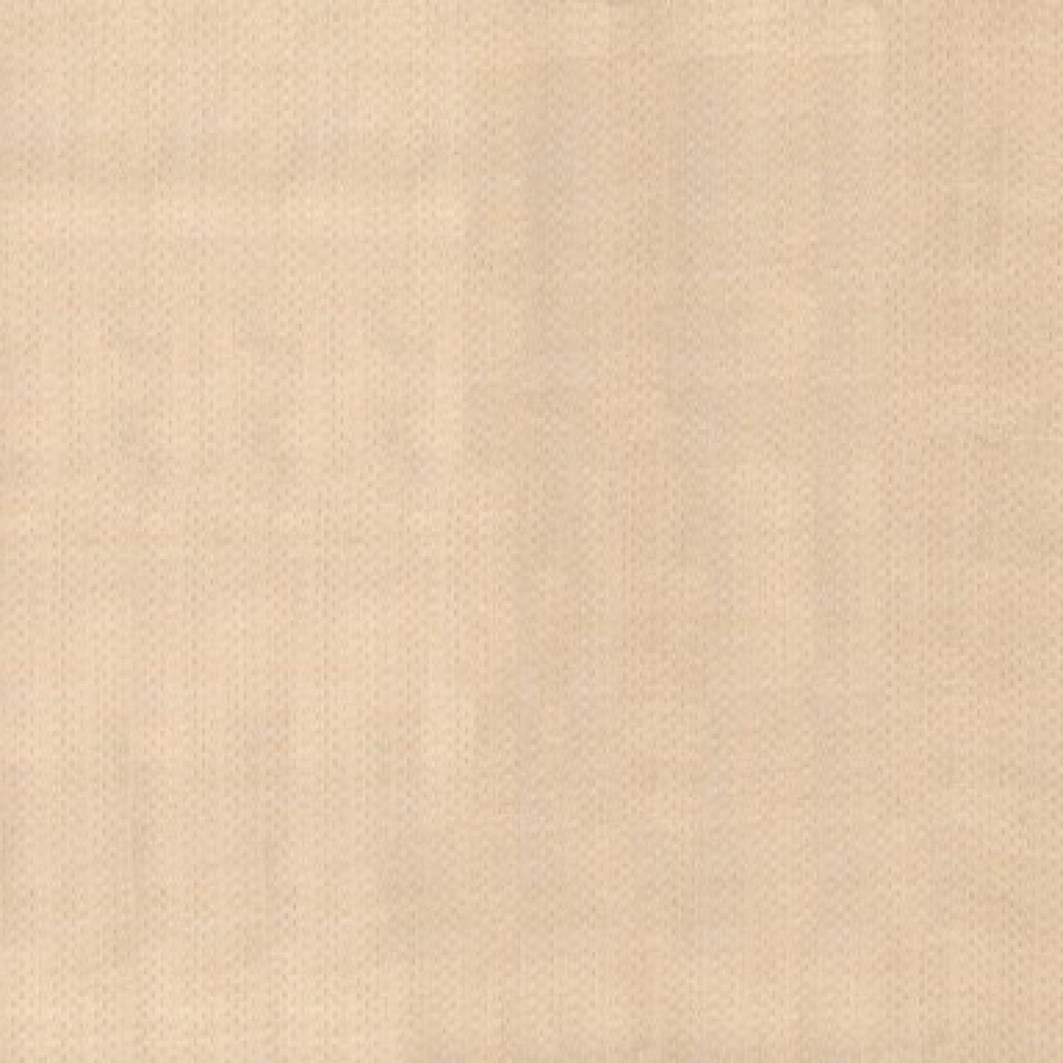 Lumiere Sheers Timor Beige | Beautiful Homes